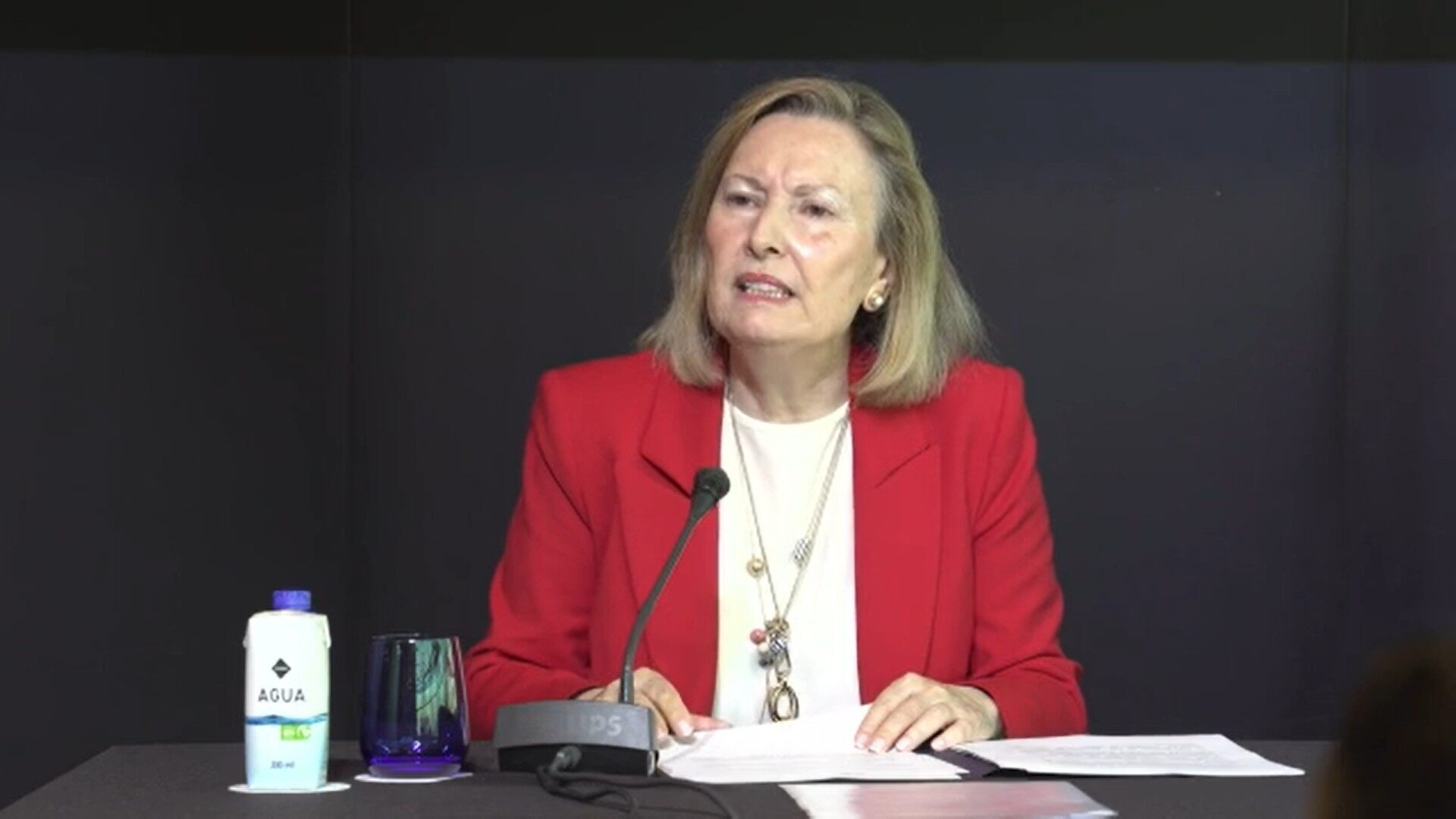 Defensa cifra en 43.000 millones el coste de los programas actuales ...