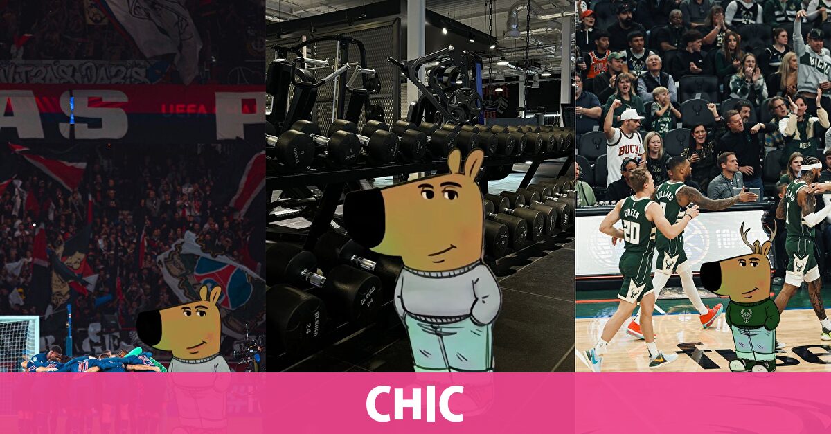 Qué esconde el meme viral de 'Chill Guy', el perro tranquilo - Chic