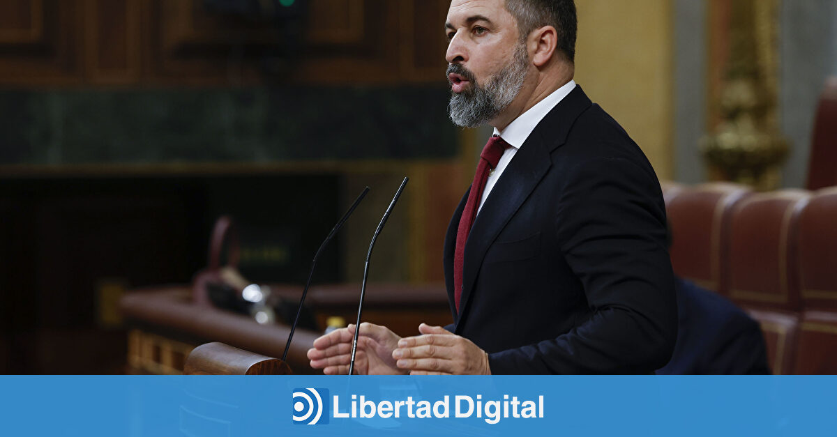 Abascal, a Pedro Sánchez: "Está profundamente enamorado, de sí mismo ...