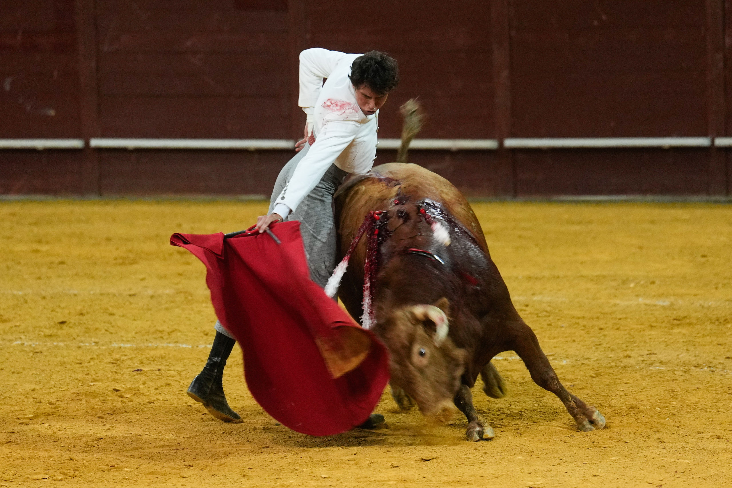 Éxito en el festival taurino benéfico en Vistalegre para los afectados ...