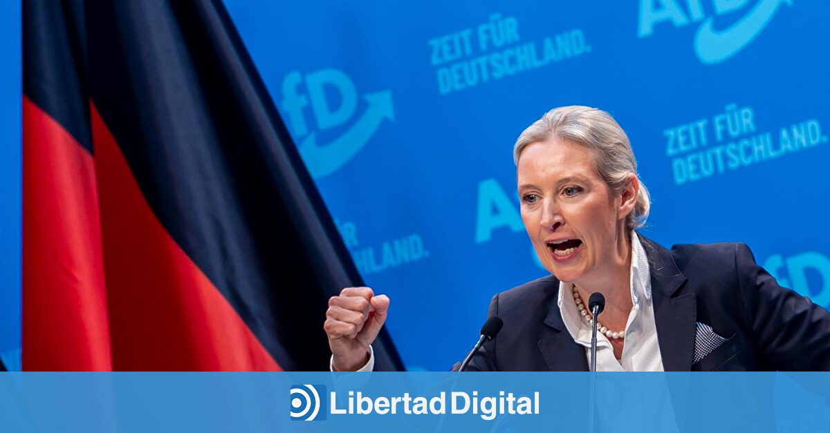 AfD pide volver al gas ruso y tirar todos los molinos de Alemania ...