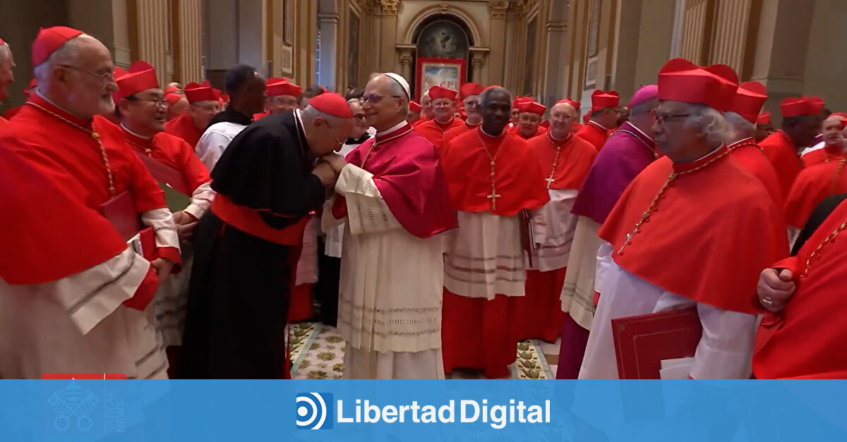 Qué es lo correcto: ¿León catorce o León decimocuarto? - Libertad ...