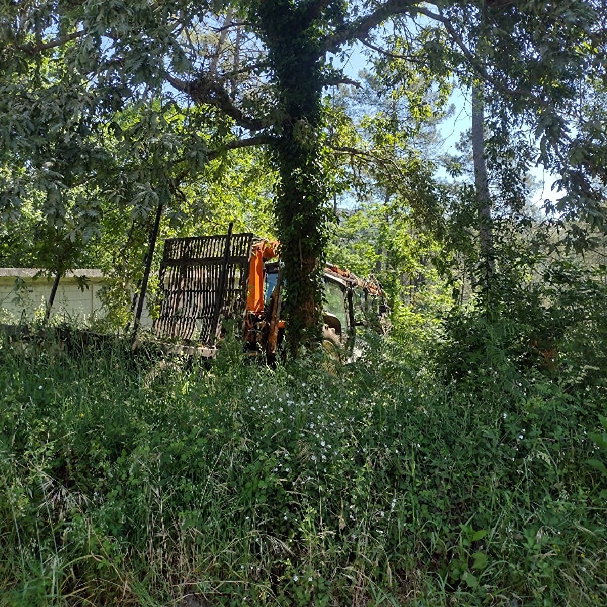 Fallece un operario en Outes (A Coruña) tras caerle encima el árbol que ...