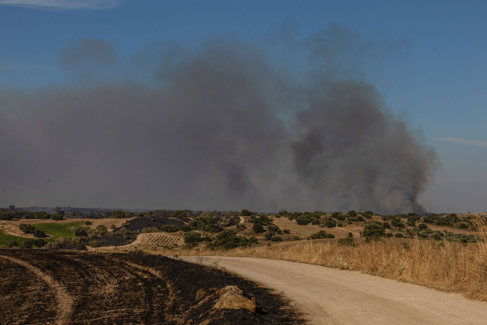 Gabriela machado videos porno convenient to schedule via