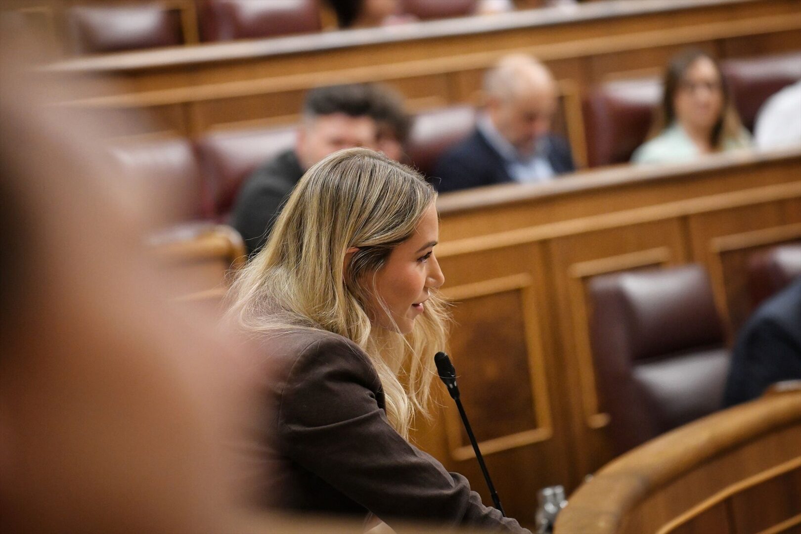 La profesión política - Javier Somalo - Libertad Digital