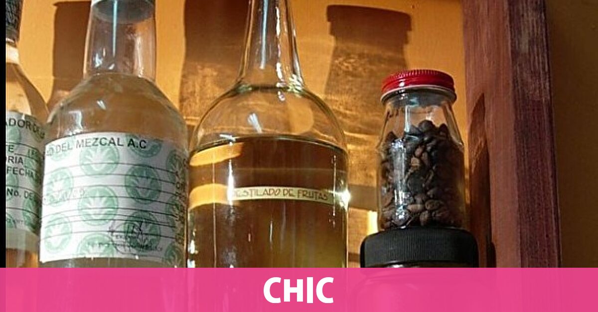 La cocina mexicana y el mezcal, protagonistas del Fòrum Gastronòmic ...
