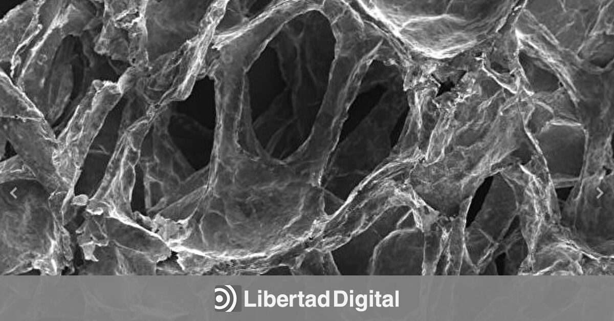 Grafeno para regenerar tejidos - Libertad Digital
