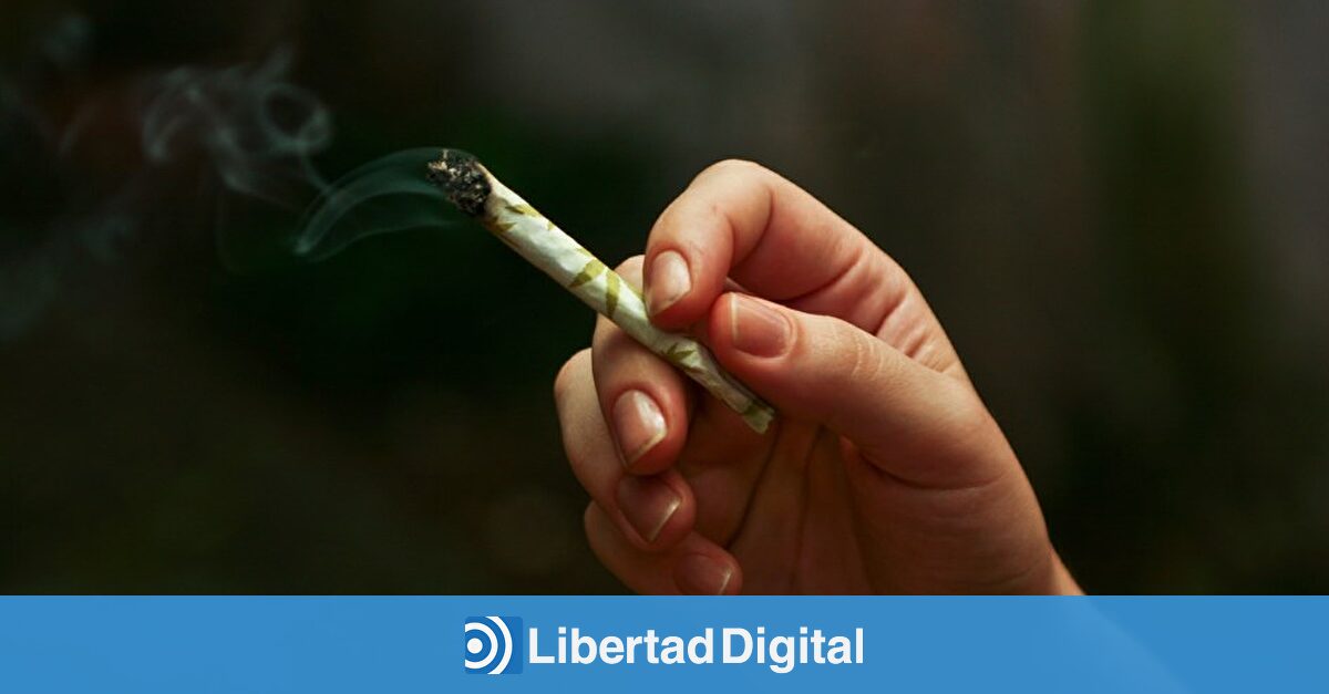 Explican por qué los porros dan hambre - Libertad Digital