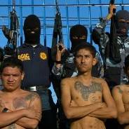 Negociar con las Maras: ¿solución o disparate? - Libertad Digital