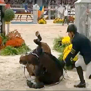 Estremecedora muerte del mejor caballo del mundo en plena competición ...