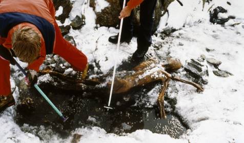 La momificación no es un fenómeno exclusivo del antiguo Egipto ...