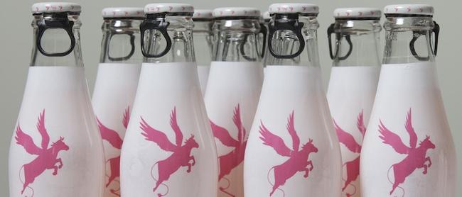 Foro de opinion, noticias y entretenimiento - Pink Cow, un refresco ...