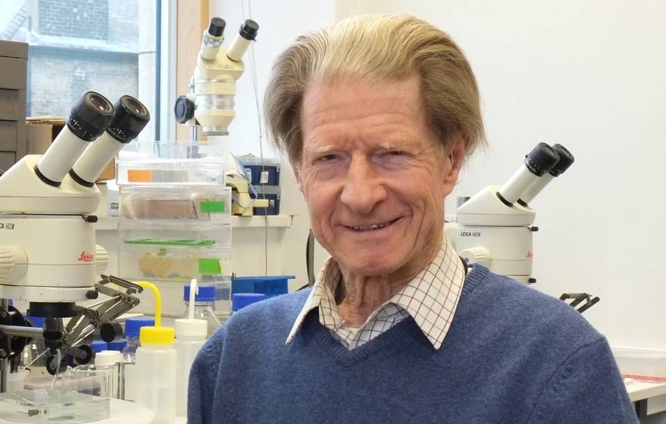 John Gurdon: "Curaremos enfermedades gracias a la investigación con ...