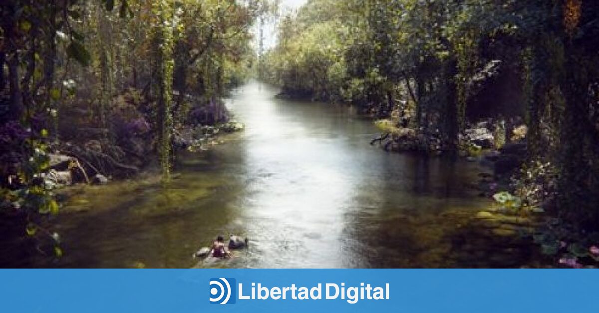 El libro de la selva - Libertad Digital - Cultura