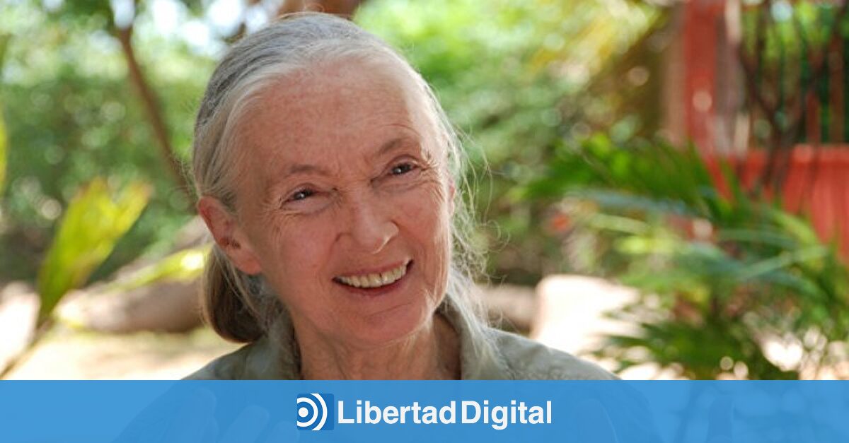 El viaje de Jane - Libertad Digital - Cultura